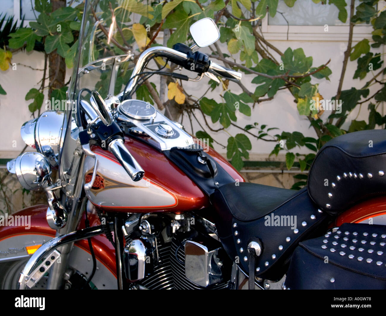 Harley davidson mot hi-res stock photography and images - Alamy
