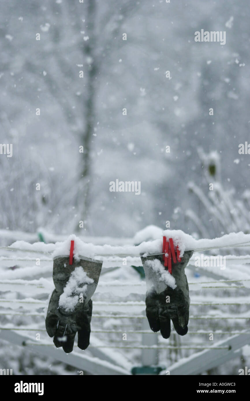 snow falling in winter landscape fence trees frozen pair of gloves on ...