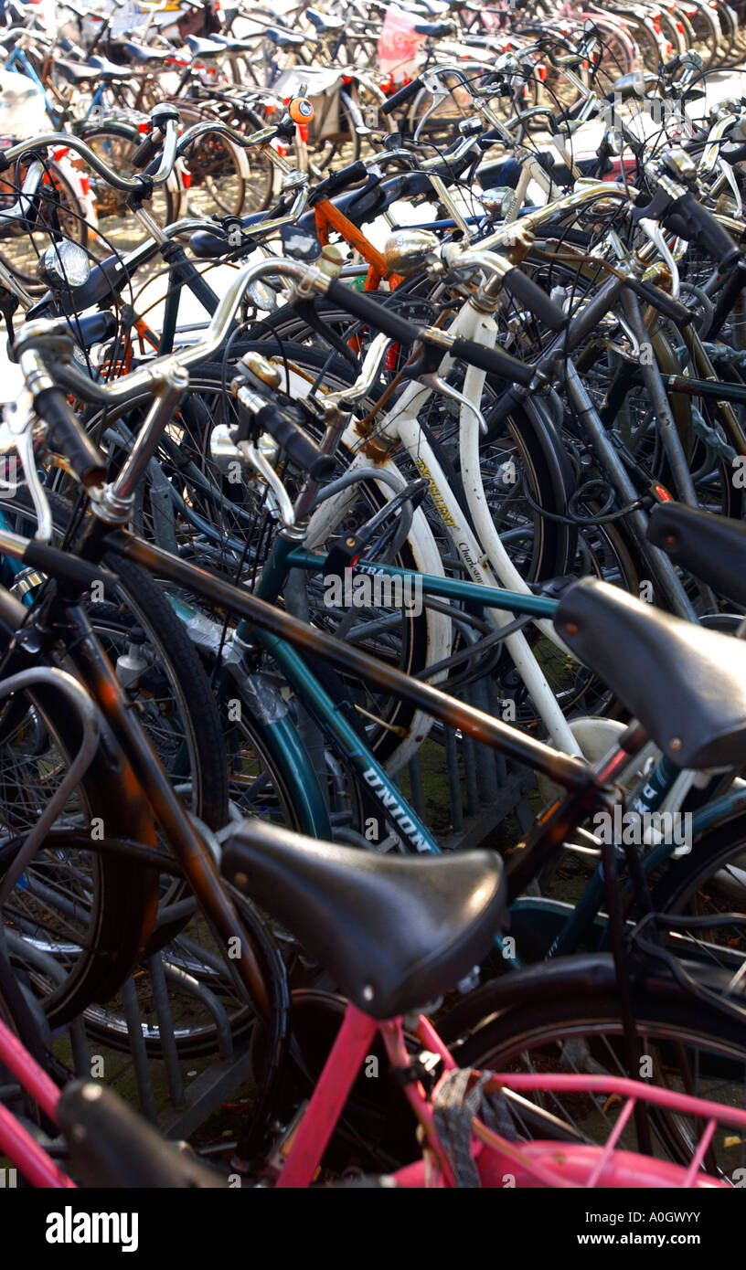 Bikes in a cycle rack Stock Photo - Alamy