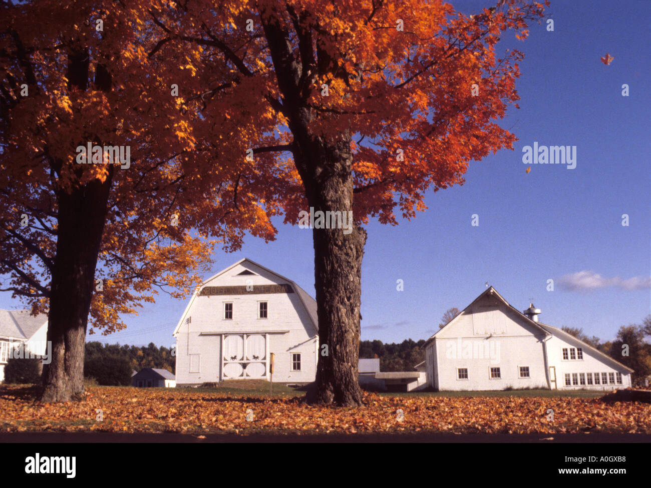 Vermont barn farmhouse in autumn hi-res stock photography and images ...