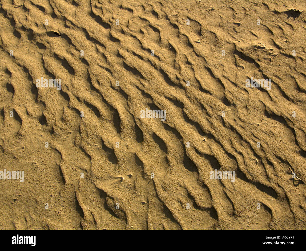 Jodie dry hi-res stock photography and images - Alamy