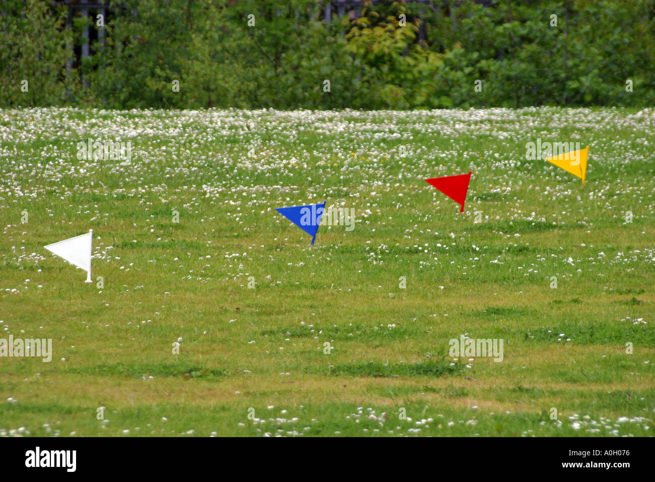 Coloured marker flags for running track Stock Photo - Alamy