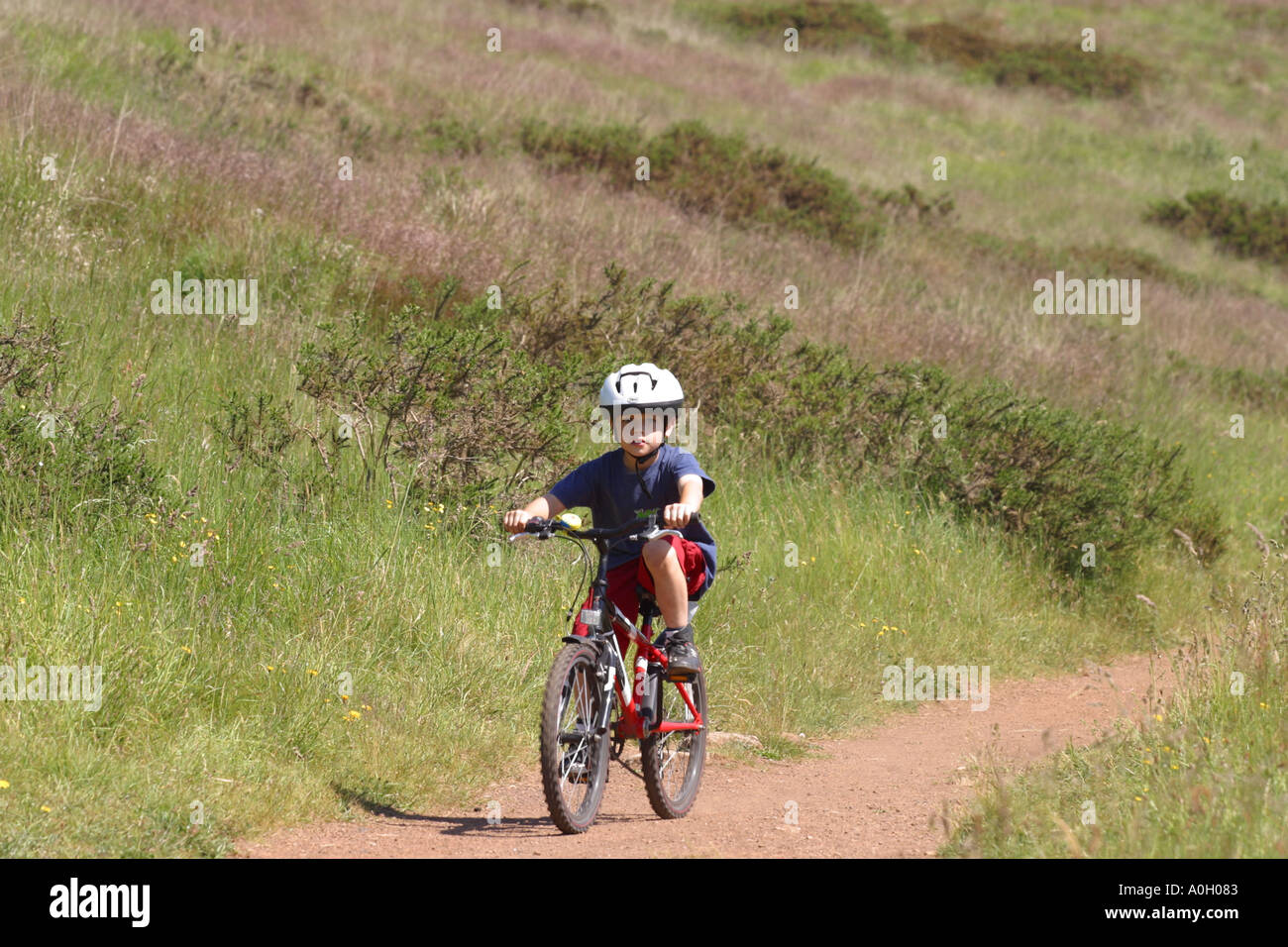 Young boy cycling on track Stock Photo - Alamy