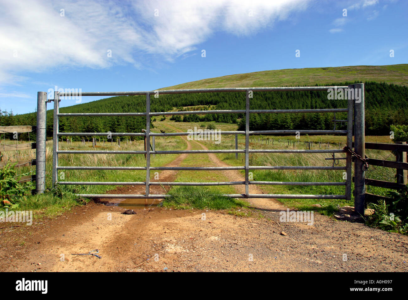 Gated path to hillside forest Stock Photo - Alamy