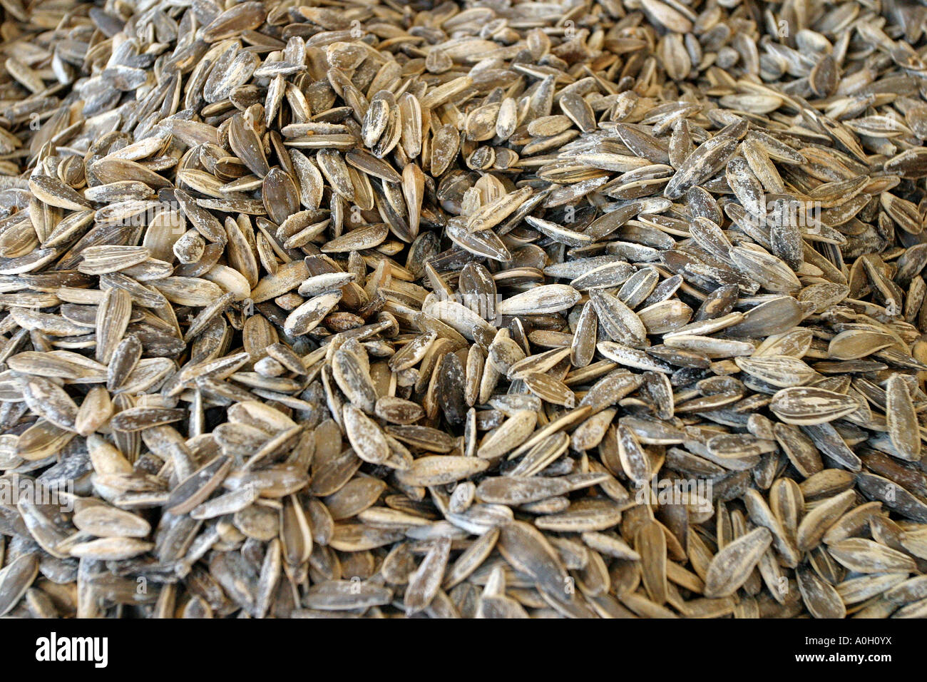 pile of seeds on sale at local market Stock Photo - Alamy