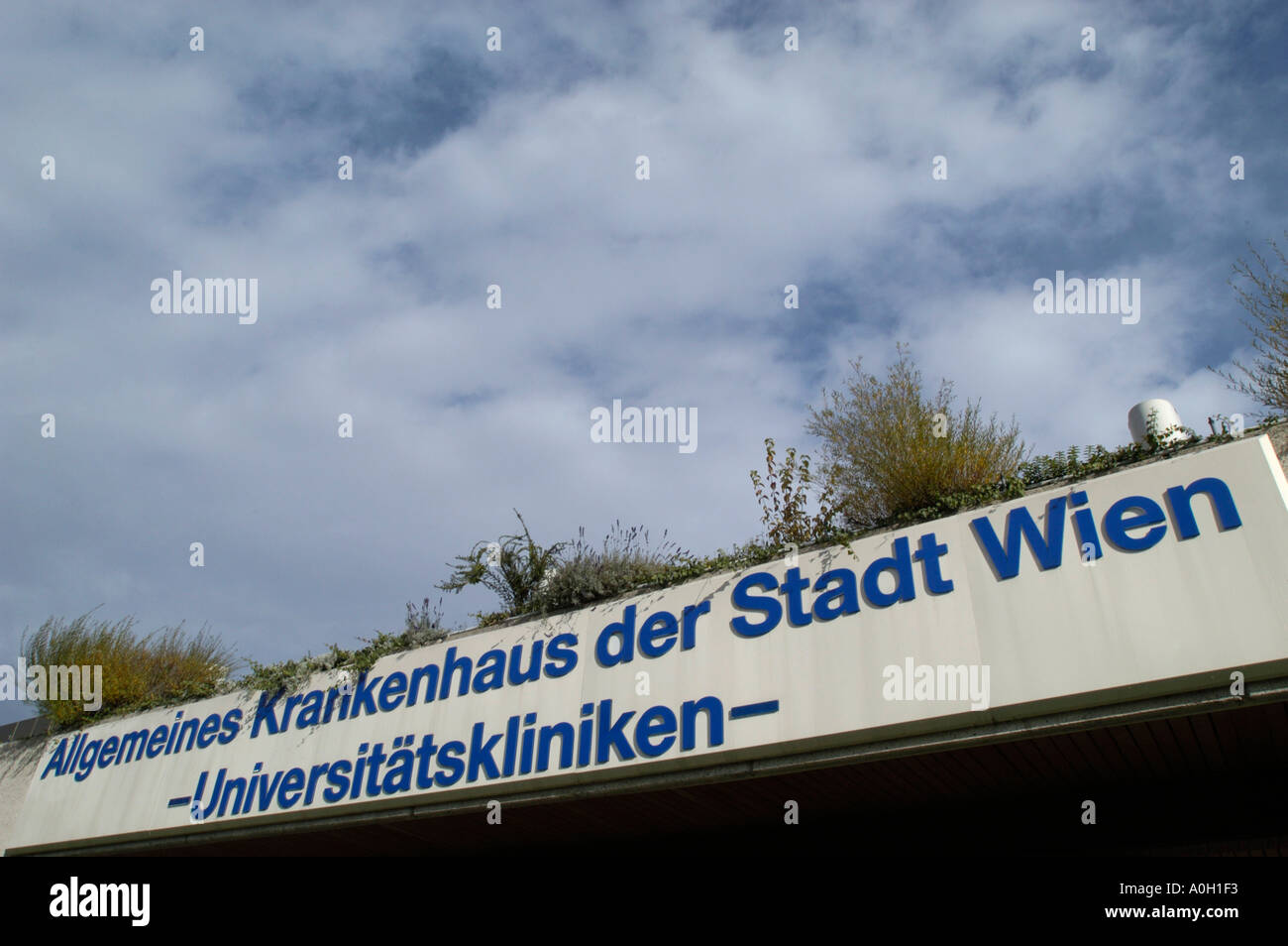 general hospital, university hospital in vienna Stock Photo - Alamy