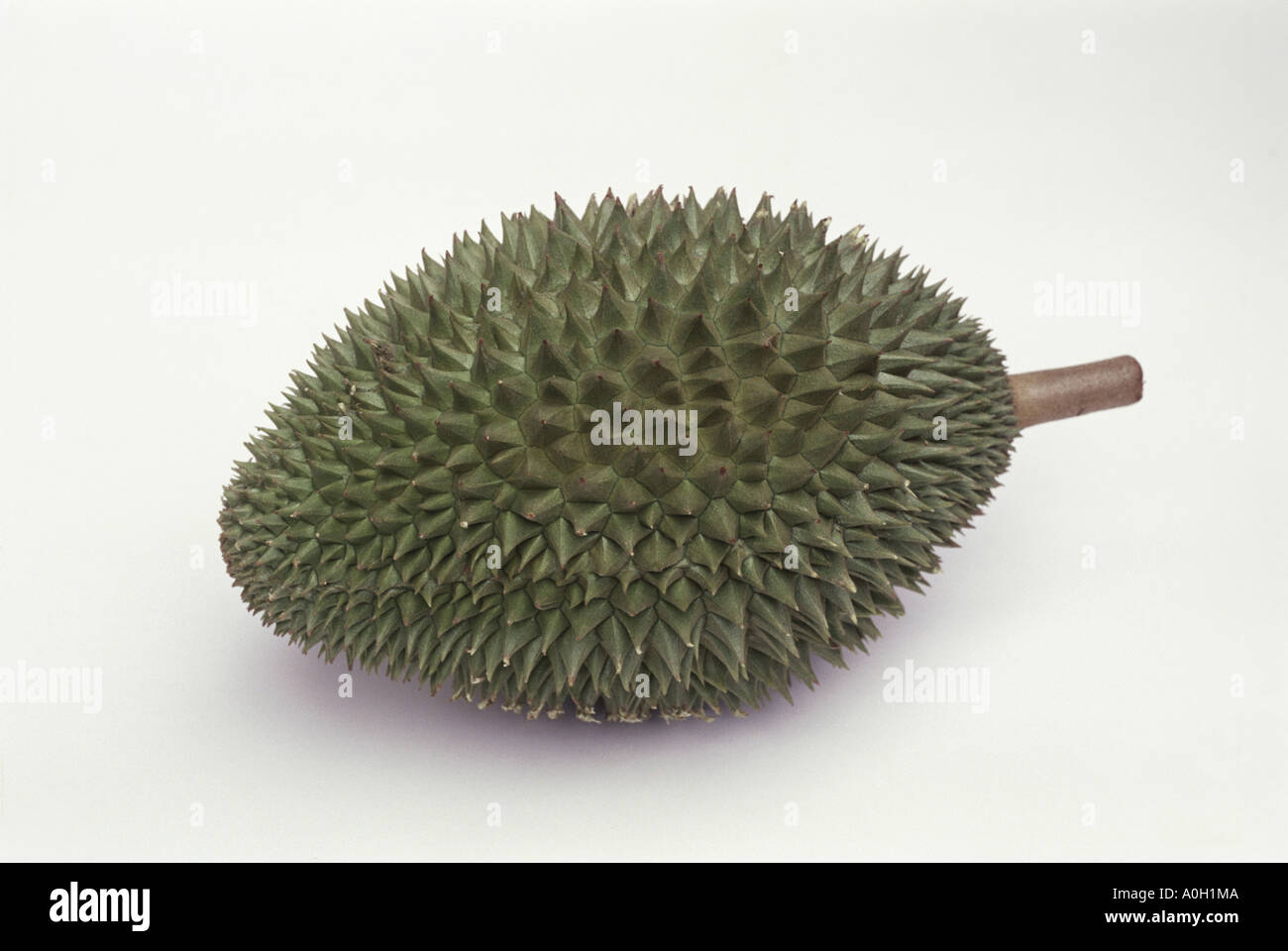 Durian fruit full thorn hi-res stock photography and images - Alamy