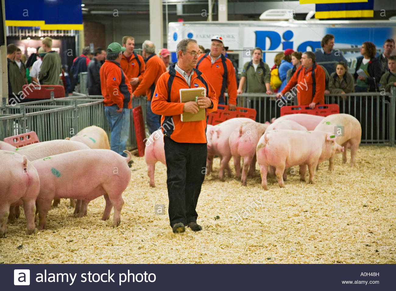 Judge Competition High Resolution Stock Photography and Images - Alamy
