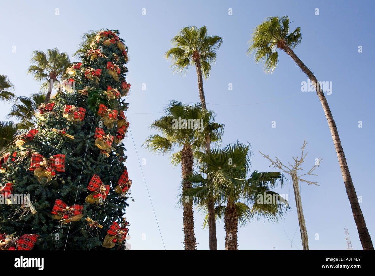XMAS TREE AND DECORATIONS ERECTED IN LARNAKA CYPRUS BY THE BEACH Stock ...