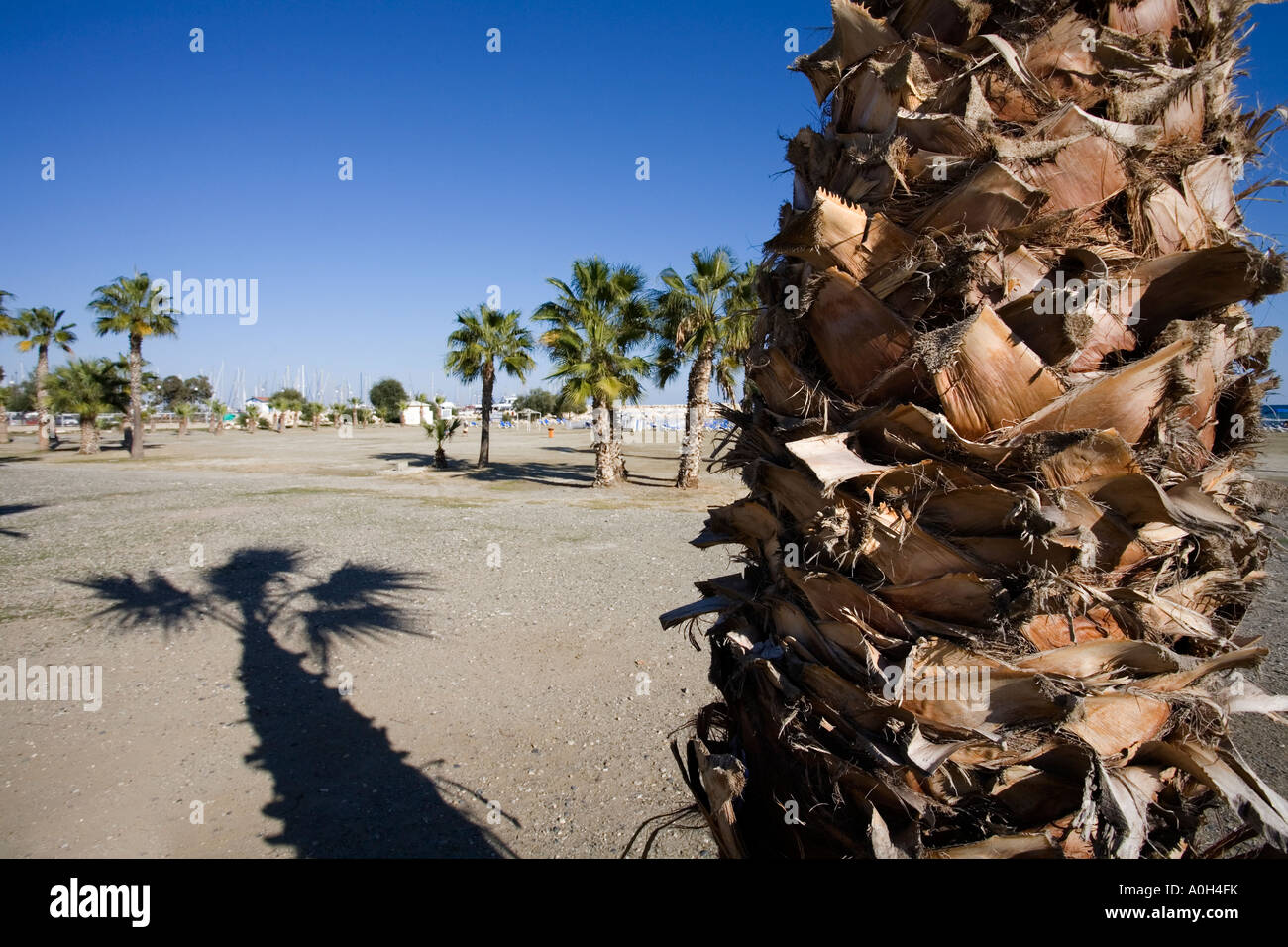 Larnaca cyprus shops hi-res stock photography and images - Alamy