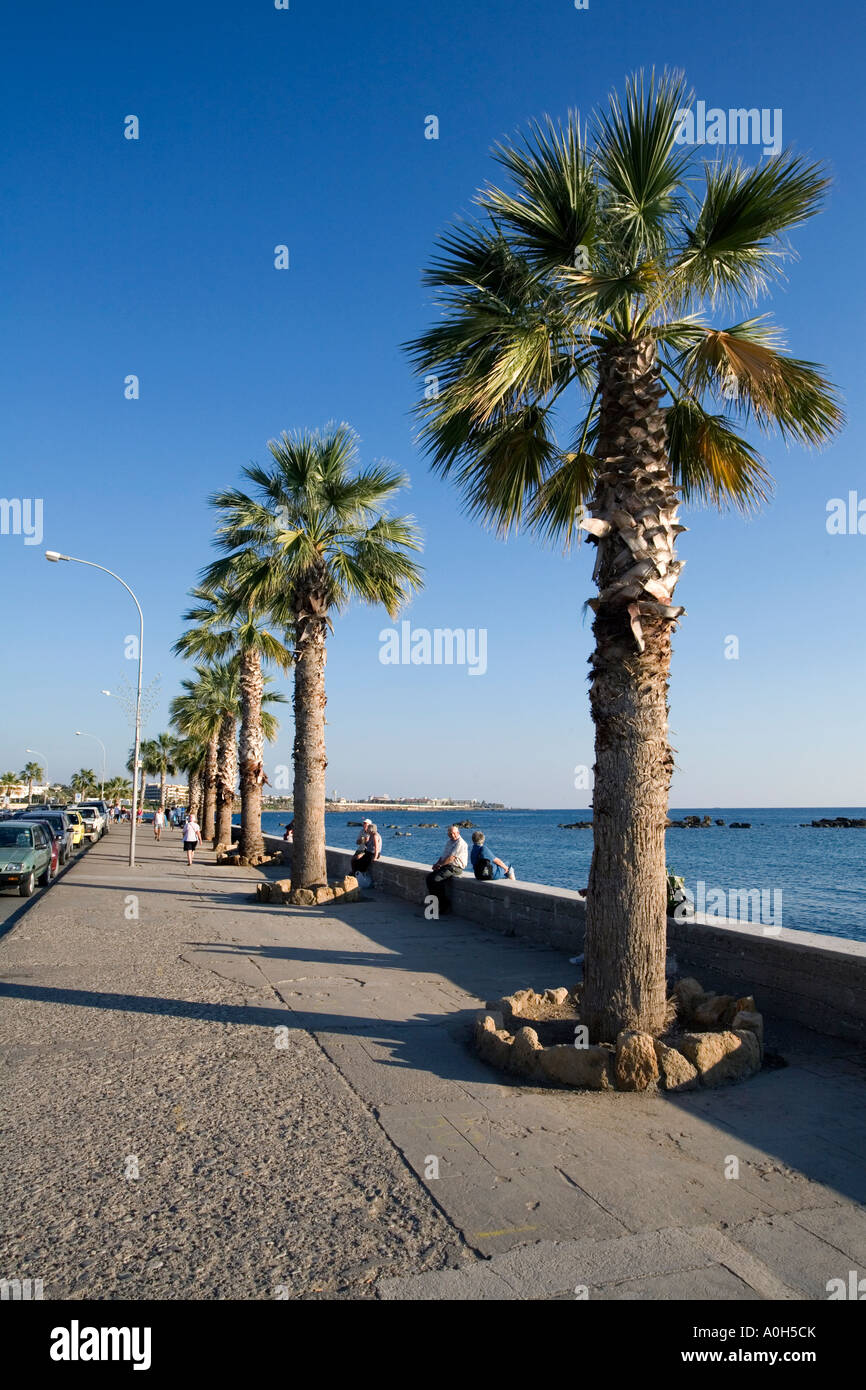 PALM TREES ALONG THE WATERFRONT AT KATO PAPHOS, CYPRUS Stock Photo - Alamy