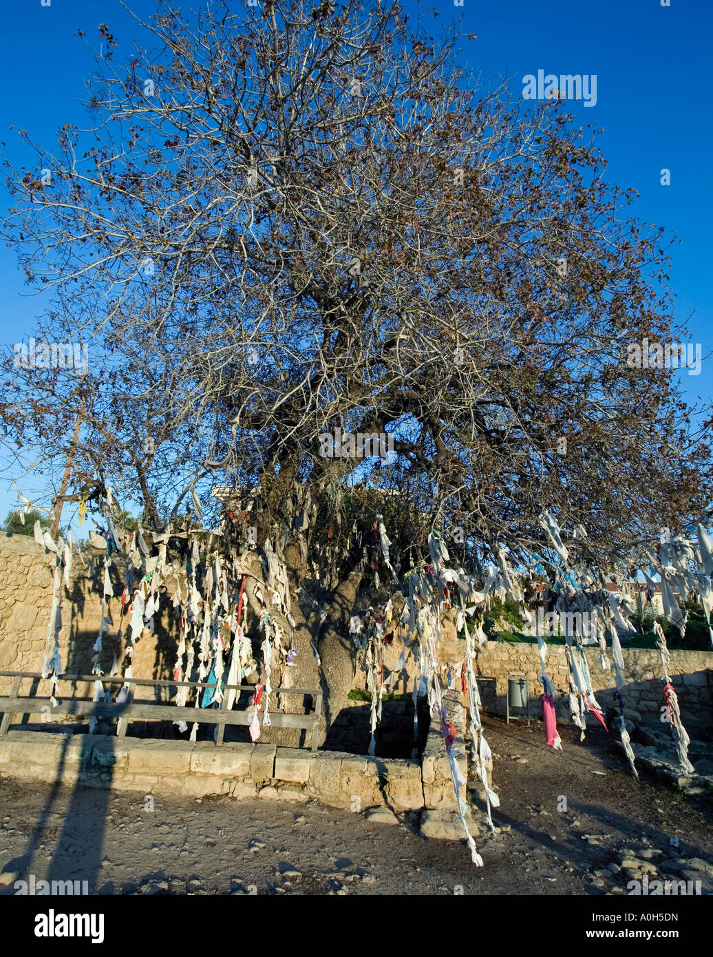 catacombs of Agia Solomoni in Kato Paphos Stock Photo - Alamy