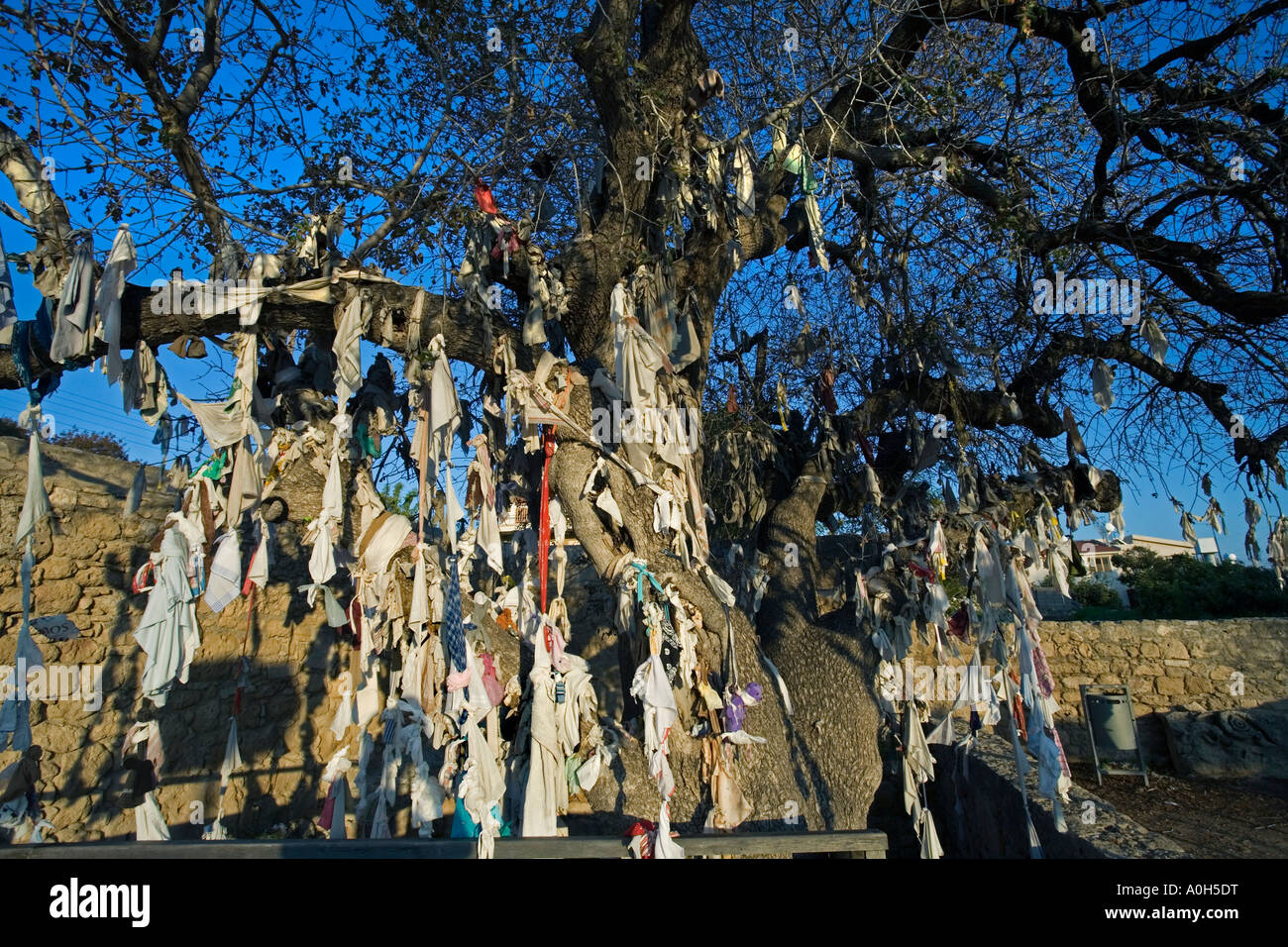 catacombs of Agia Solomoni in Kato Paphos,CYPRUS Stock Photo - Alamy