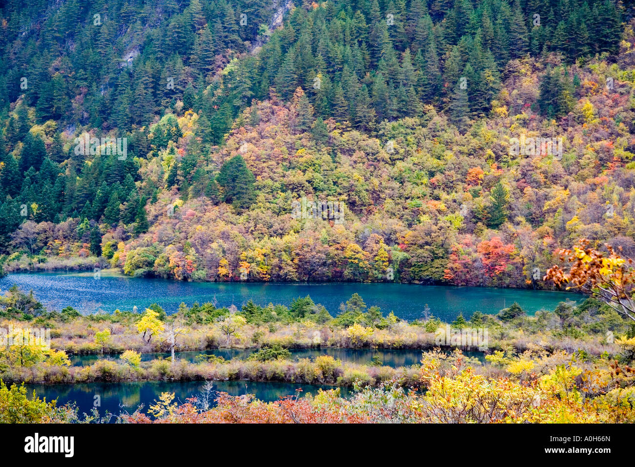 Shuzheng lake hi-res stock photography and images - Alamy