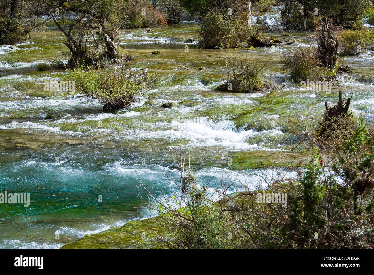 Jiuzhaigou pools hi-res stock photography and images - Alamy