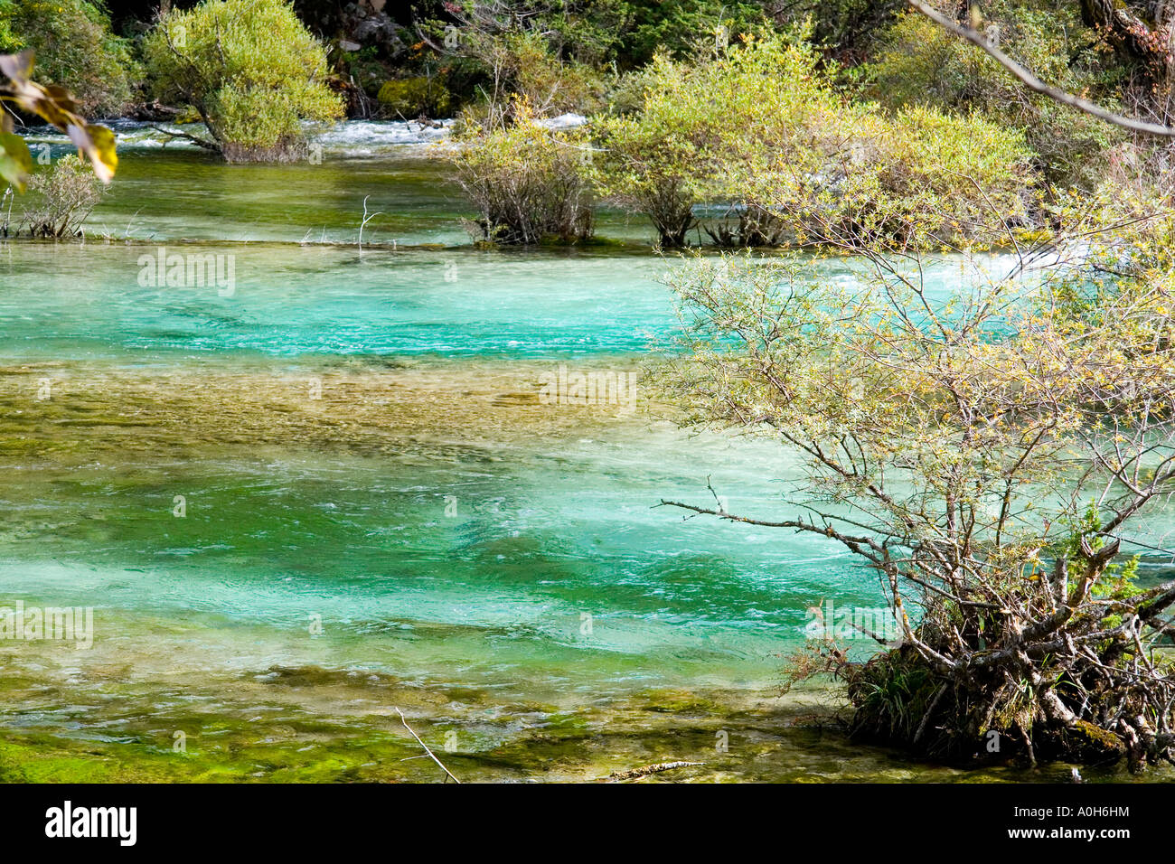 Calcification Pools at HuangLong, China Stock Photo - Alamy