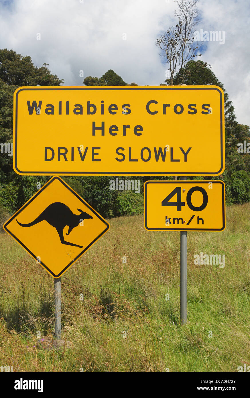 Kangaroo warning sign wallaby hazard hi-res stock photography and ...