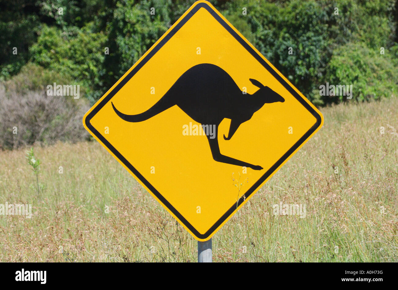 Silhouette of wallaby on a Wallaby Crossing sign Bunya Mountain ...