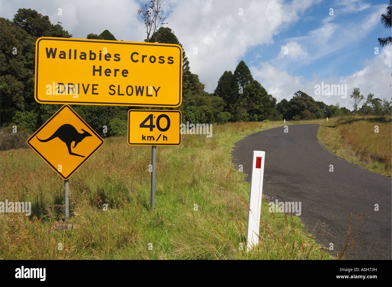 Wallaby Crossing sign and narrow road Bunya Mountain National Park ...