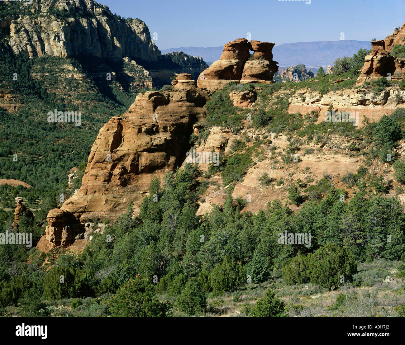 Coconino National Forest Arizona USA Stock Photo - Alamy