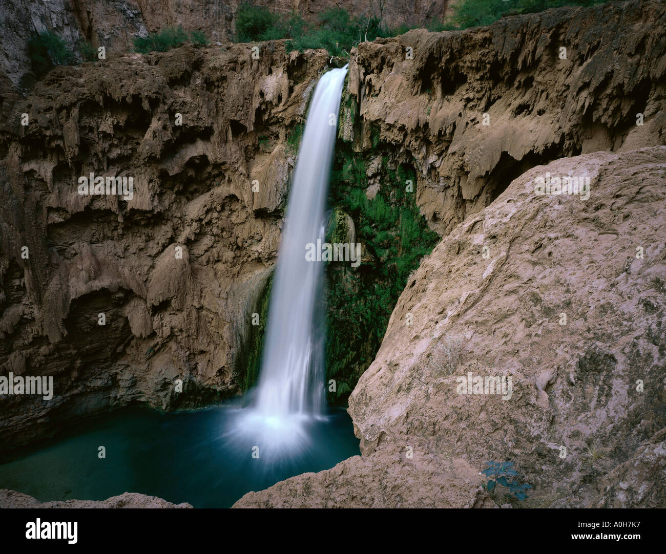 Arizona moss water hi-res stock photography and images - Alamy