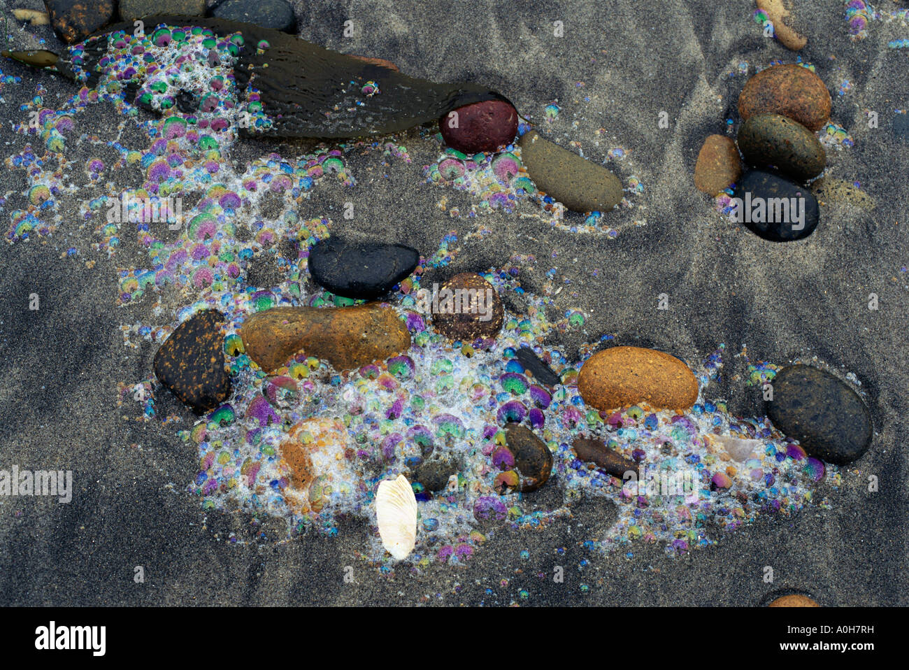 Beach sand pebbles and bubbles, Carlsbad, California, USA Stock Photo ...