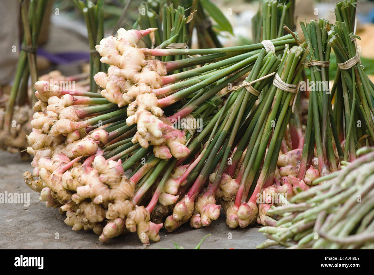 Bunches of galangal root for sale at Shengcun village market, Yuanyang ...