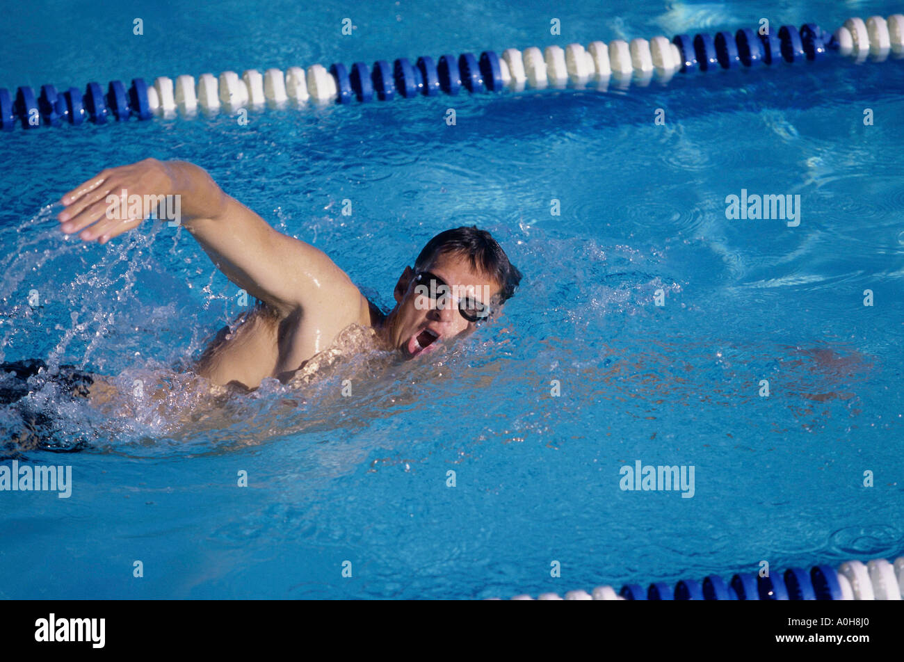 Side profile of a young man swimming in a swimming pool Stock Photo - Alamy
