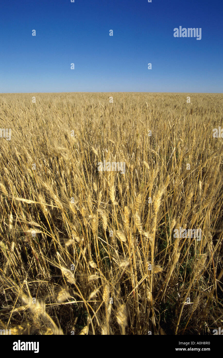 Durham distant hi-res stock photography and images - Alamy