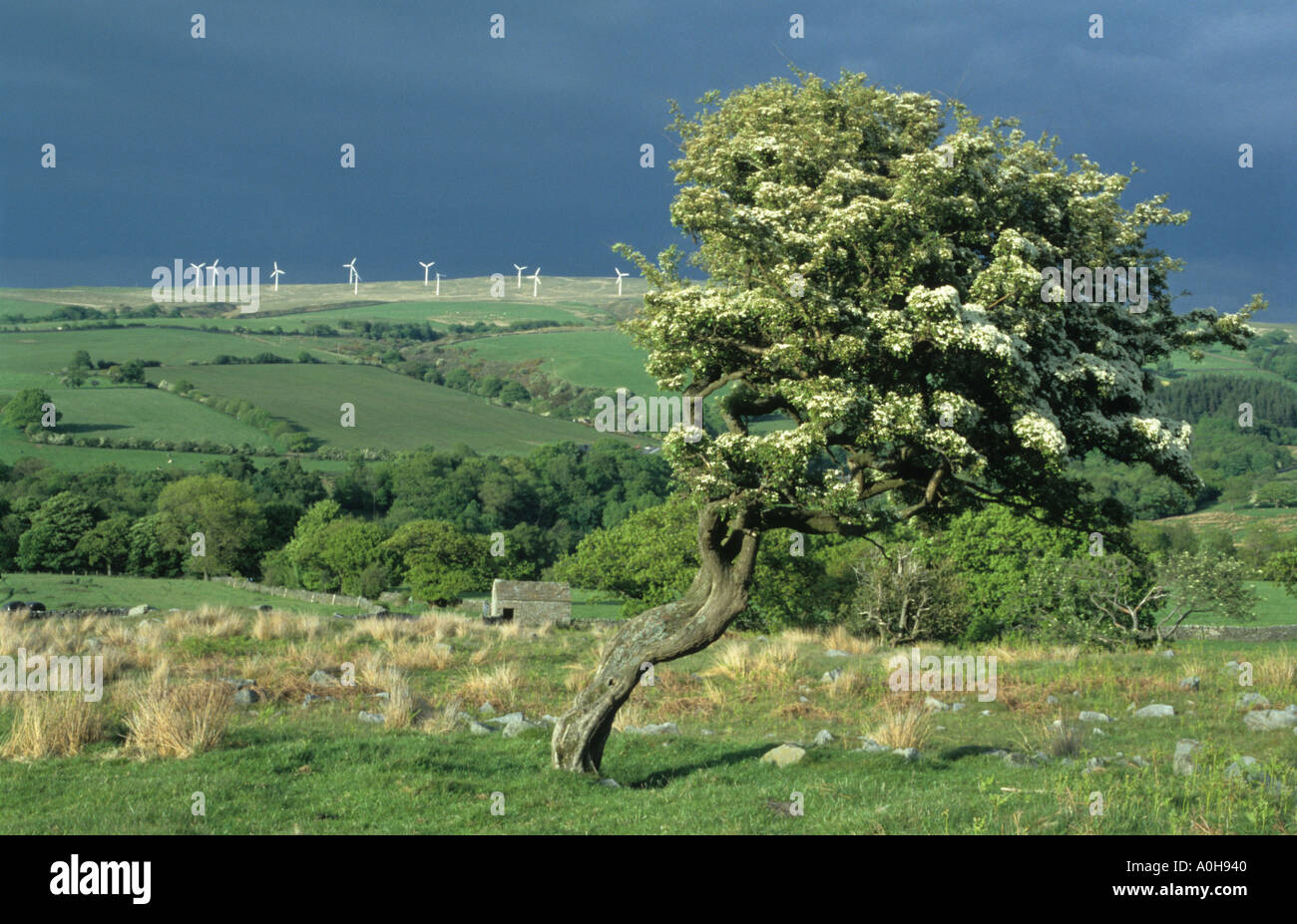 Cragg farm hi-res stock photography and images - Alamy