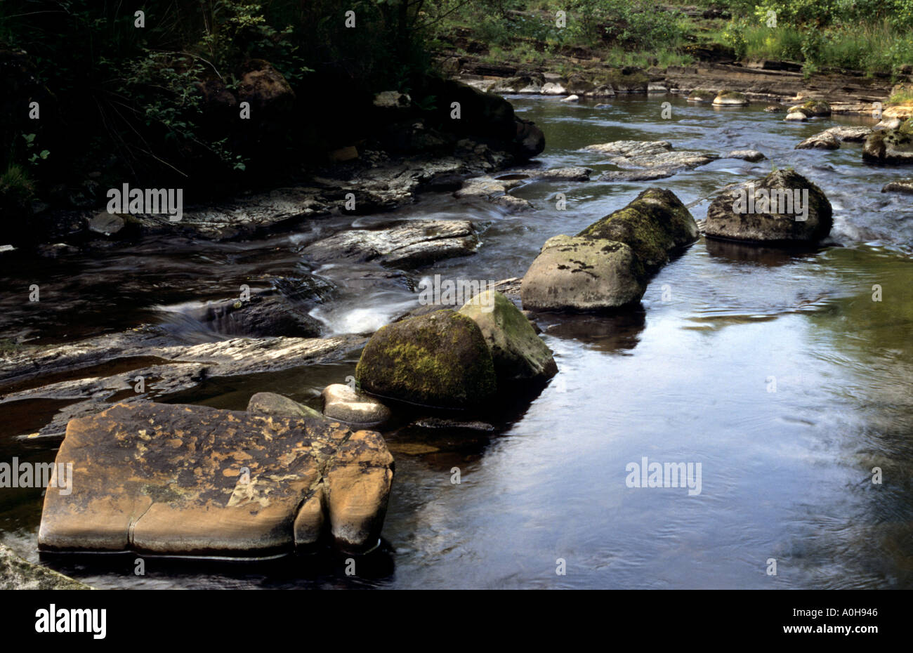 Barkin beck hi-res stock photography and images - Alamy