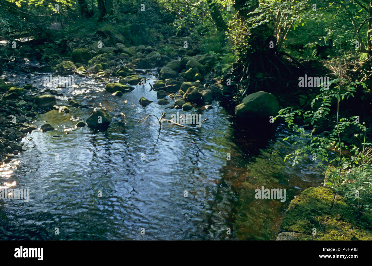 Udale hi-res stock photography and images - Alamy