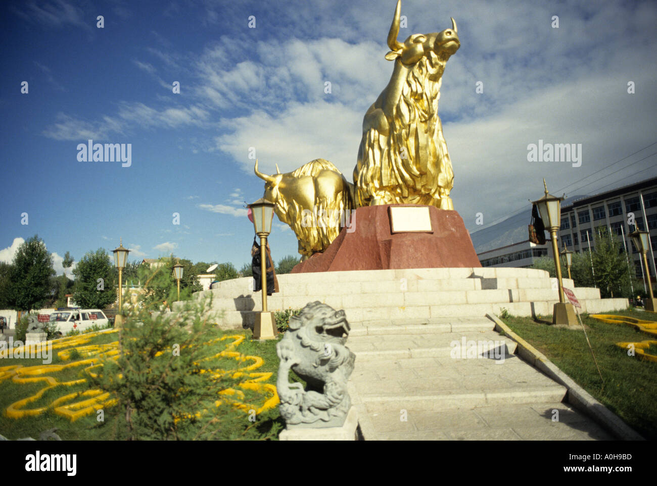 Golden painted yaks hi-res stock photography and images - Alamy