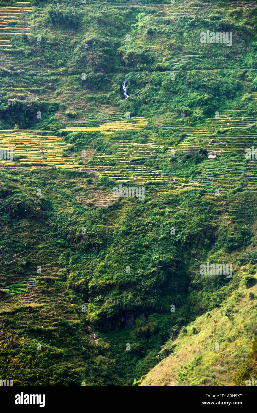 Waterfall in the rice terraces, Meng Pin, Yuanyang, Yunnan, China Stock ...