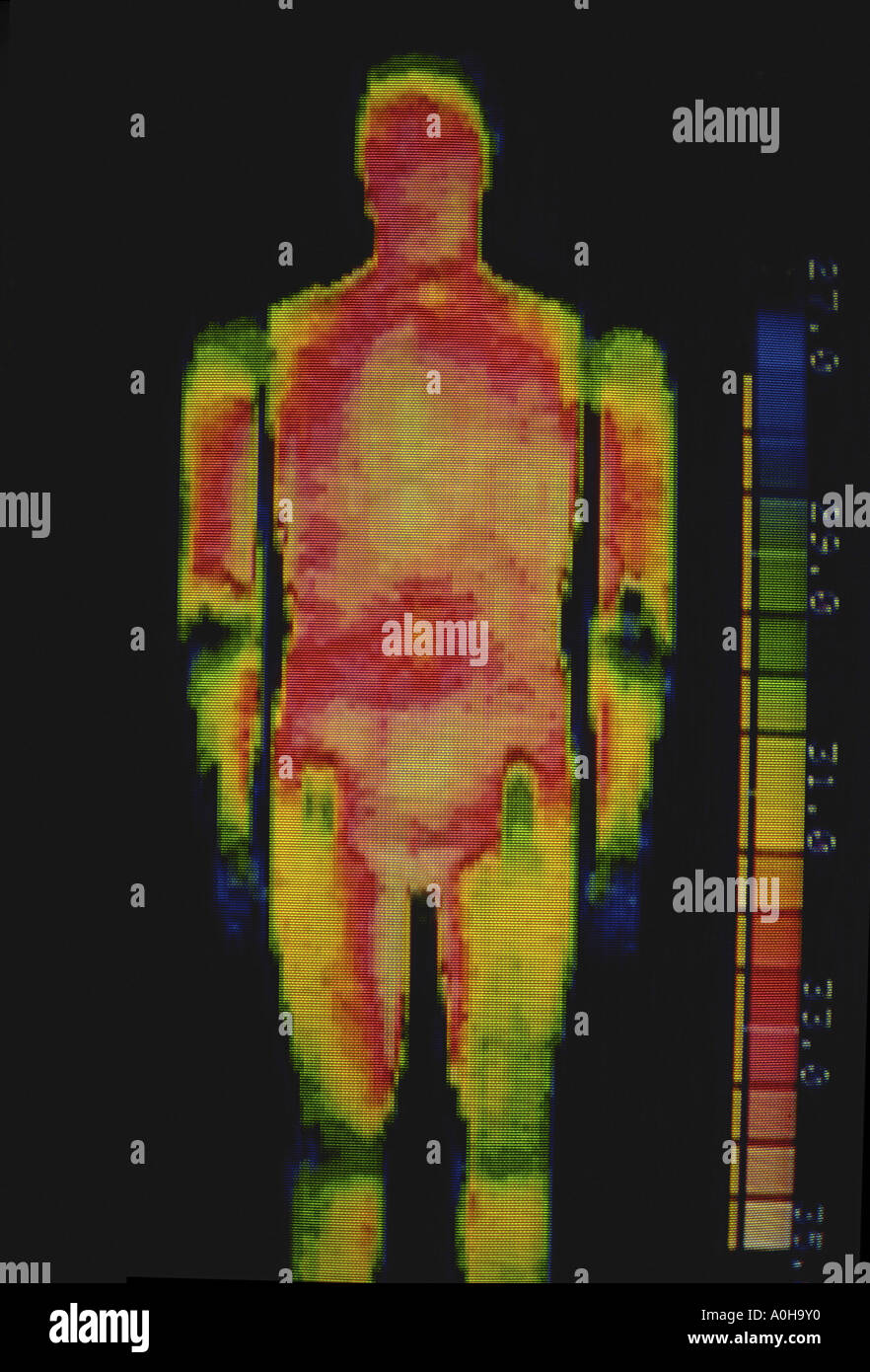 Scan of a human body Stock Photo - Alamy
