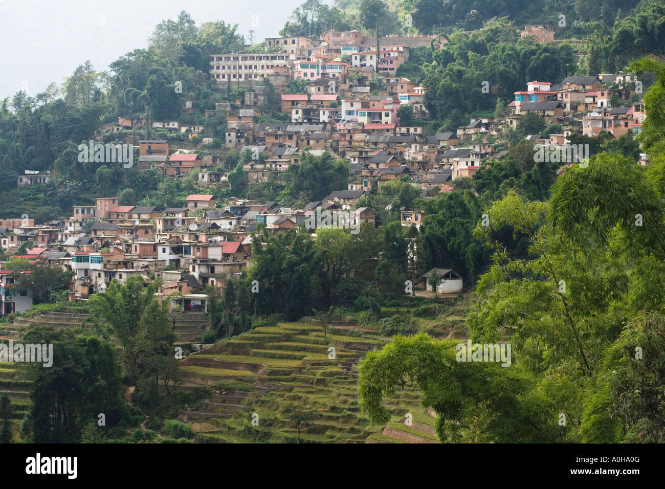 Sustainable rice production hi-res stock photography and images - Alamy