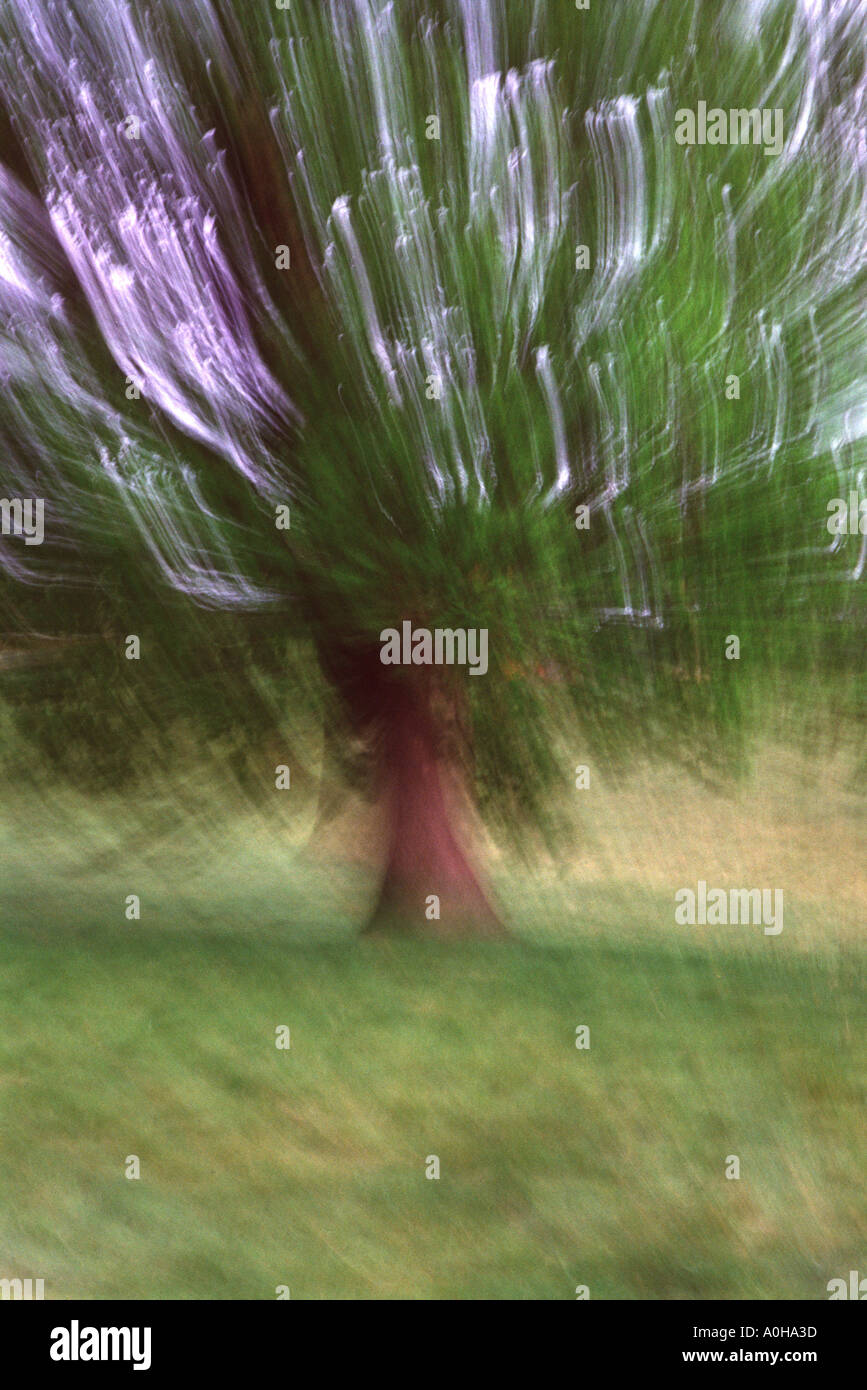 Zooming technique hi-res stock photography and images - Alamy