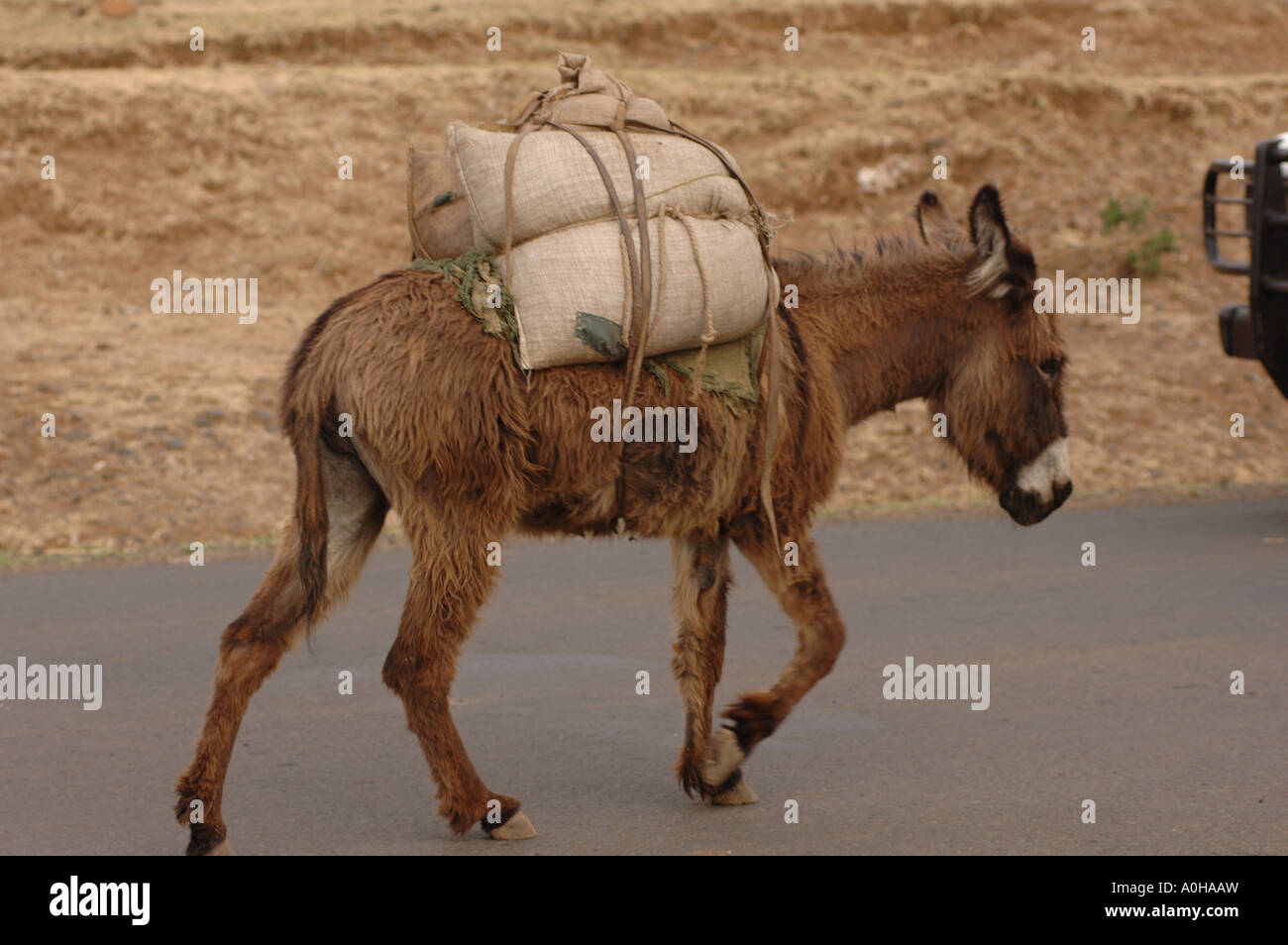 Gondor in Ethiopia Africa Stock Photo - Alamy