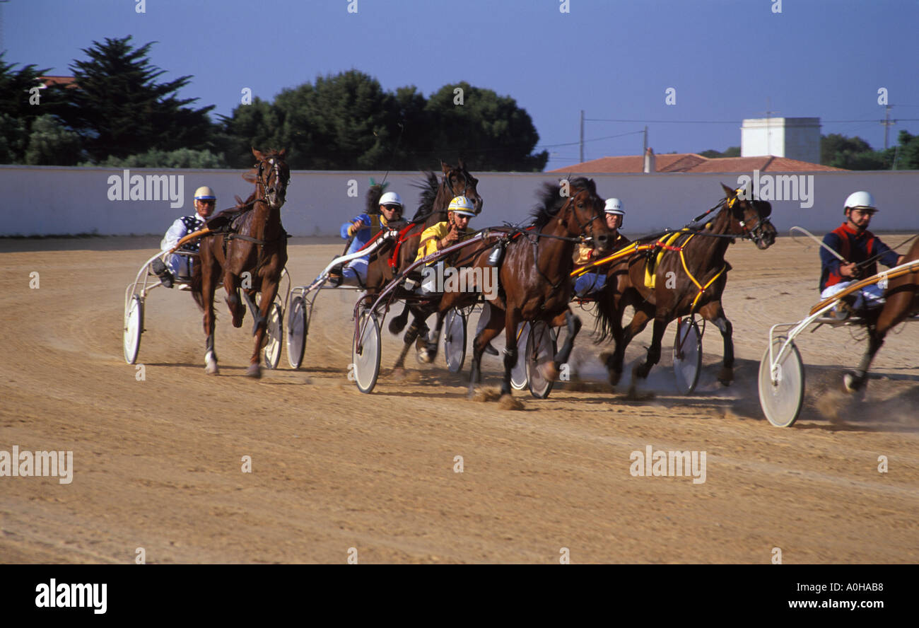 Trotting races hi-res stock photography and images - Alamy