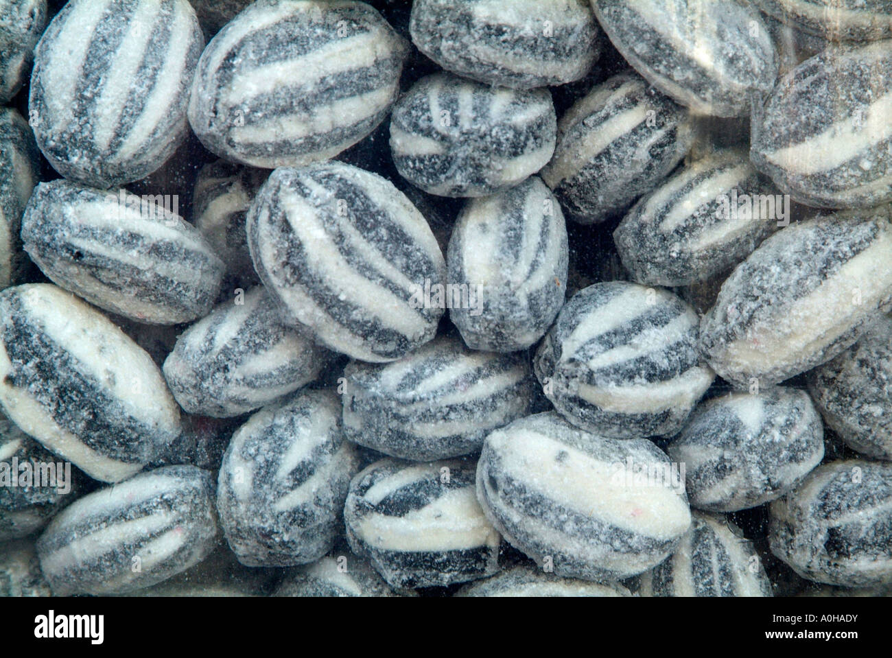 traditional old fashioned boiled sweet container retail shop Sugar ...