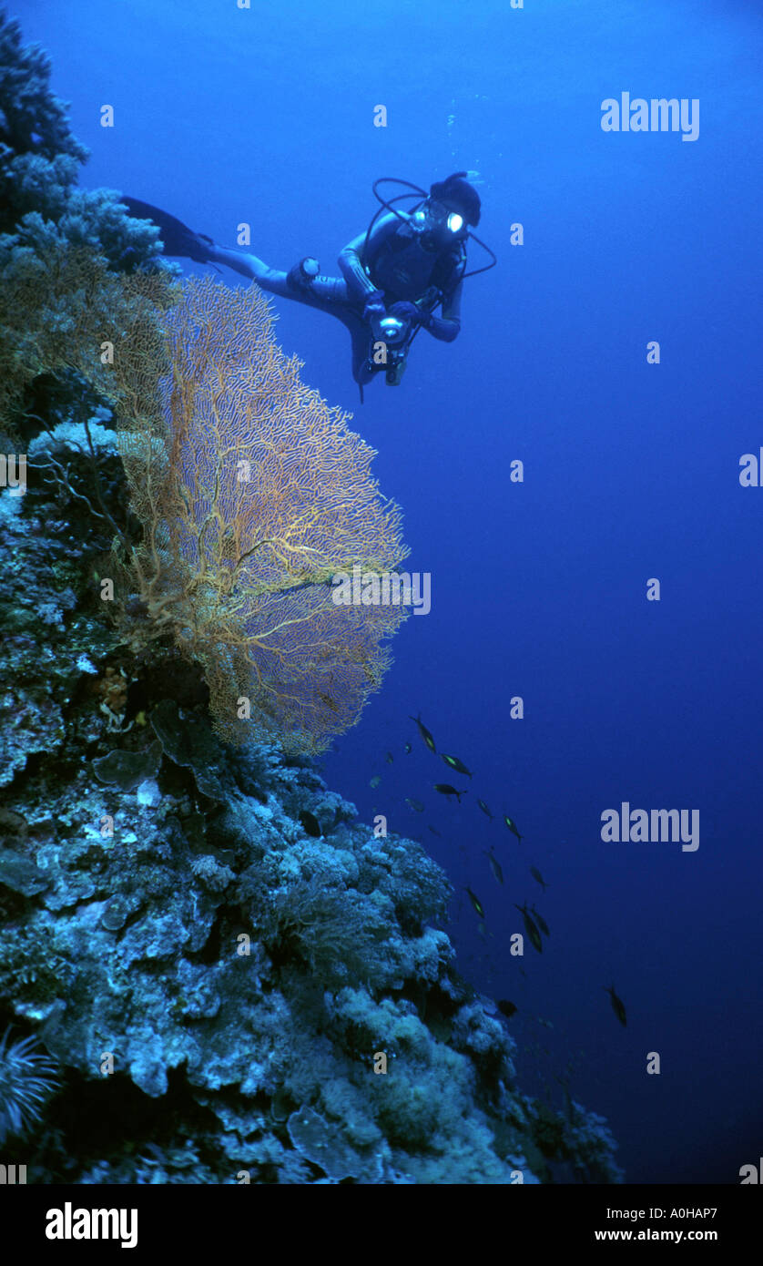 Tubbataha Reef National Marine Park Palawan Philippines Stock Photo - Alamy
