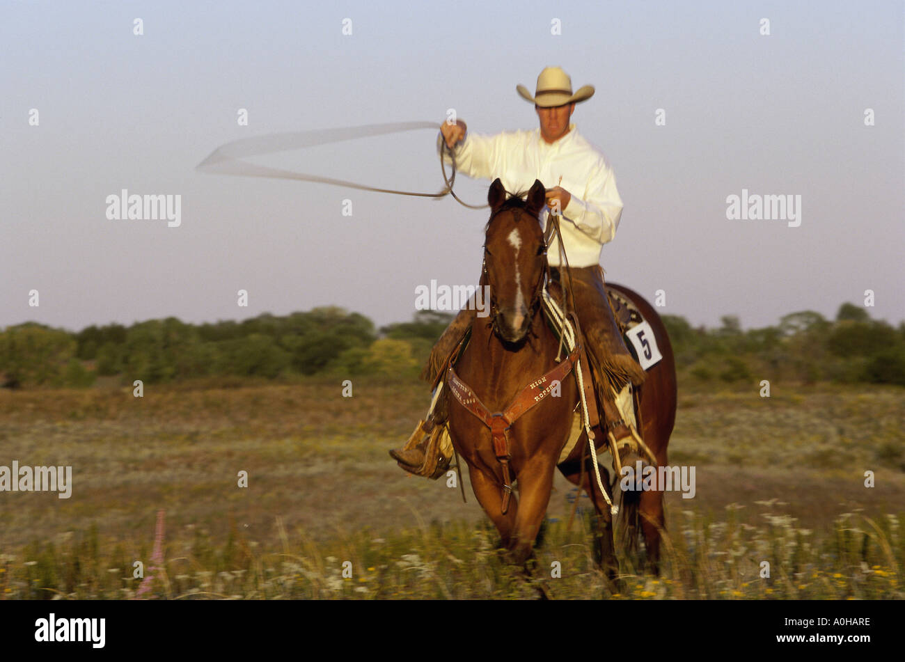 Portrait of a cowboy riding a horse holding a lasso Stock Photo - Alamy