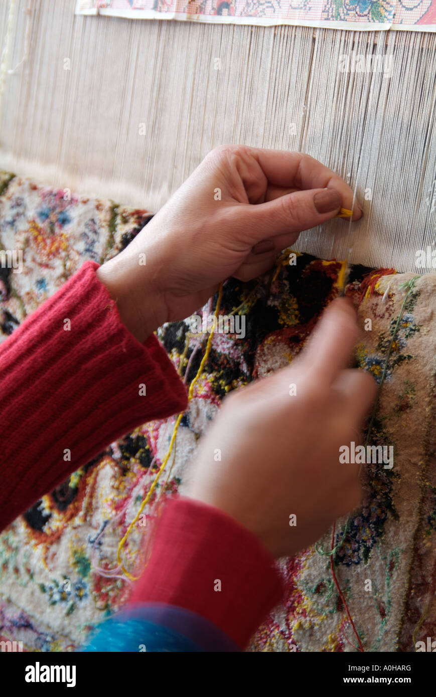 Skilled weaver weaving woman carpet on loom traditional dress knot tie ...