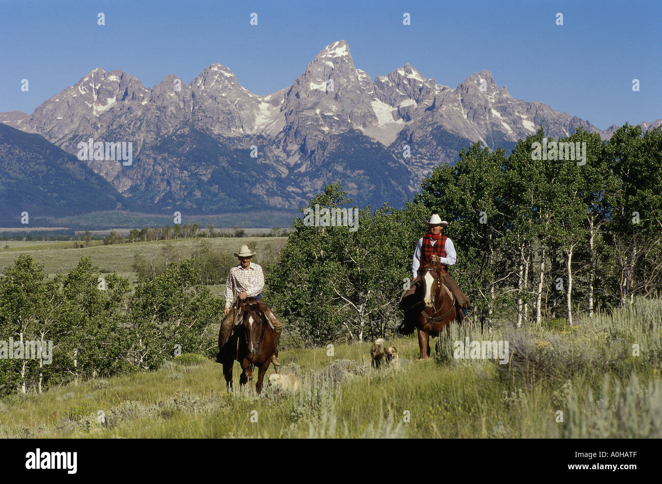 Kelly wyoming hi-res stock photography and images - Alamy