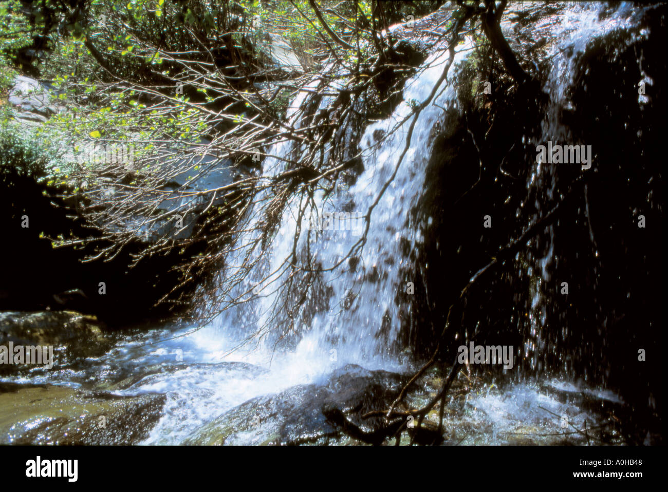 Thewaterfalls at Pithari Andros Greece Stock Photo - Alamy