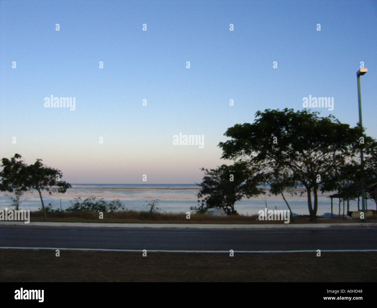tarmac trees and sea at dawn Campeche Yucatan peninsula Mexico Stock ...