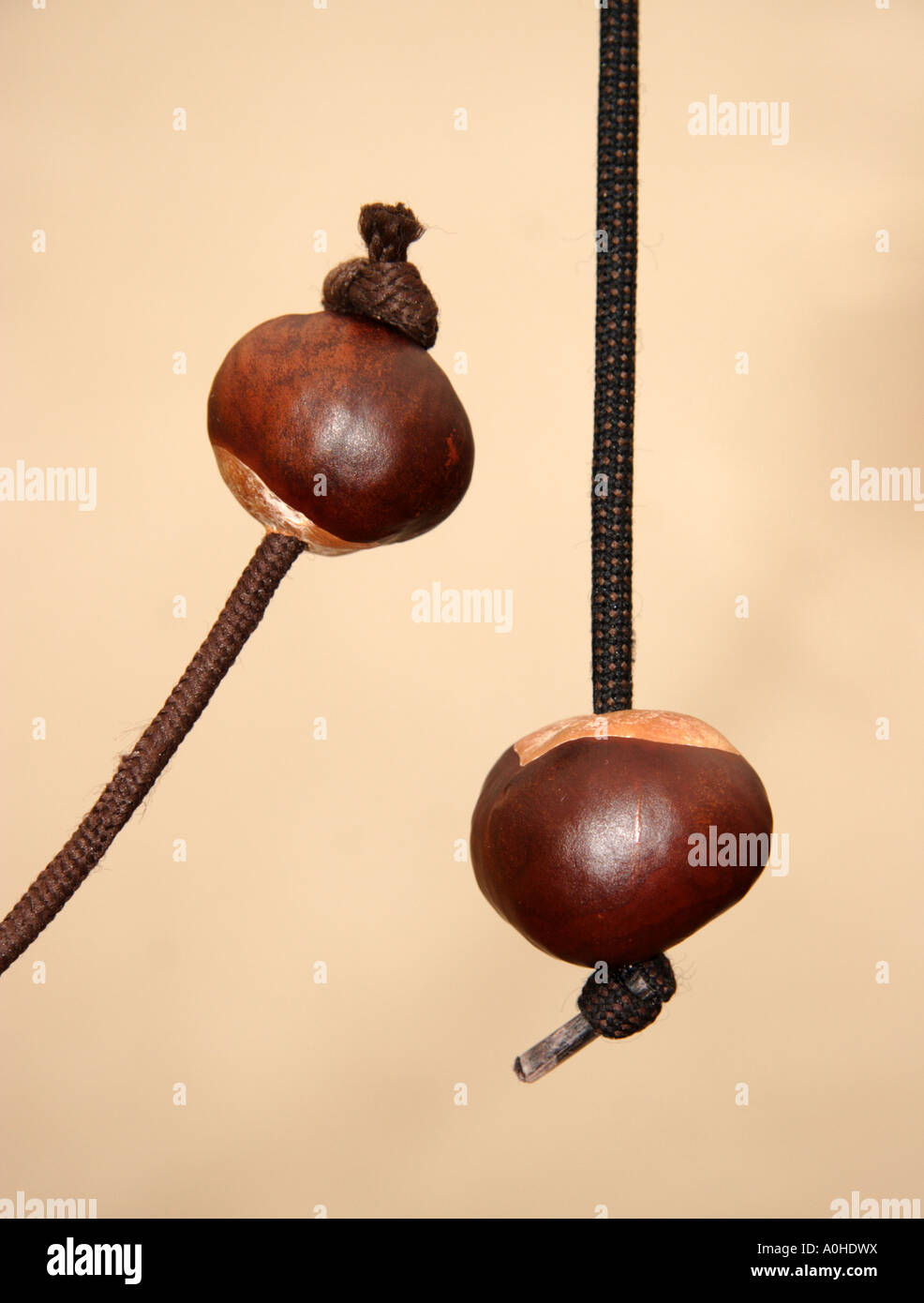 Conker on string hi-res stock photography and images - Alamy