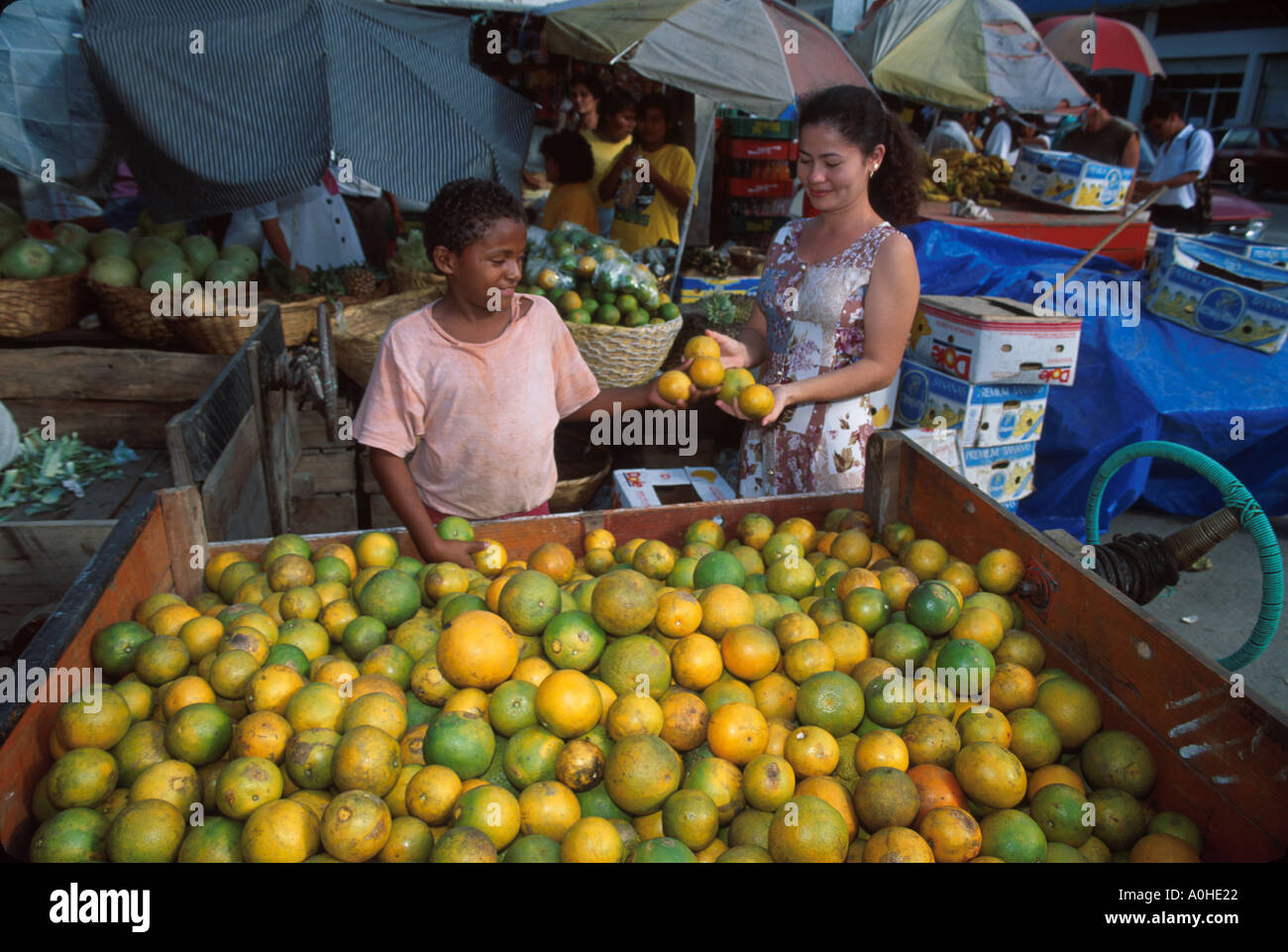 Sells locally grown oranges from cart hi-res stock photography and ...