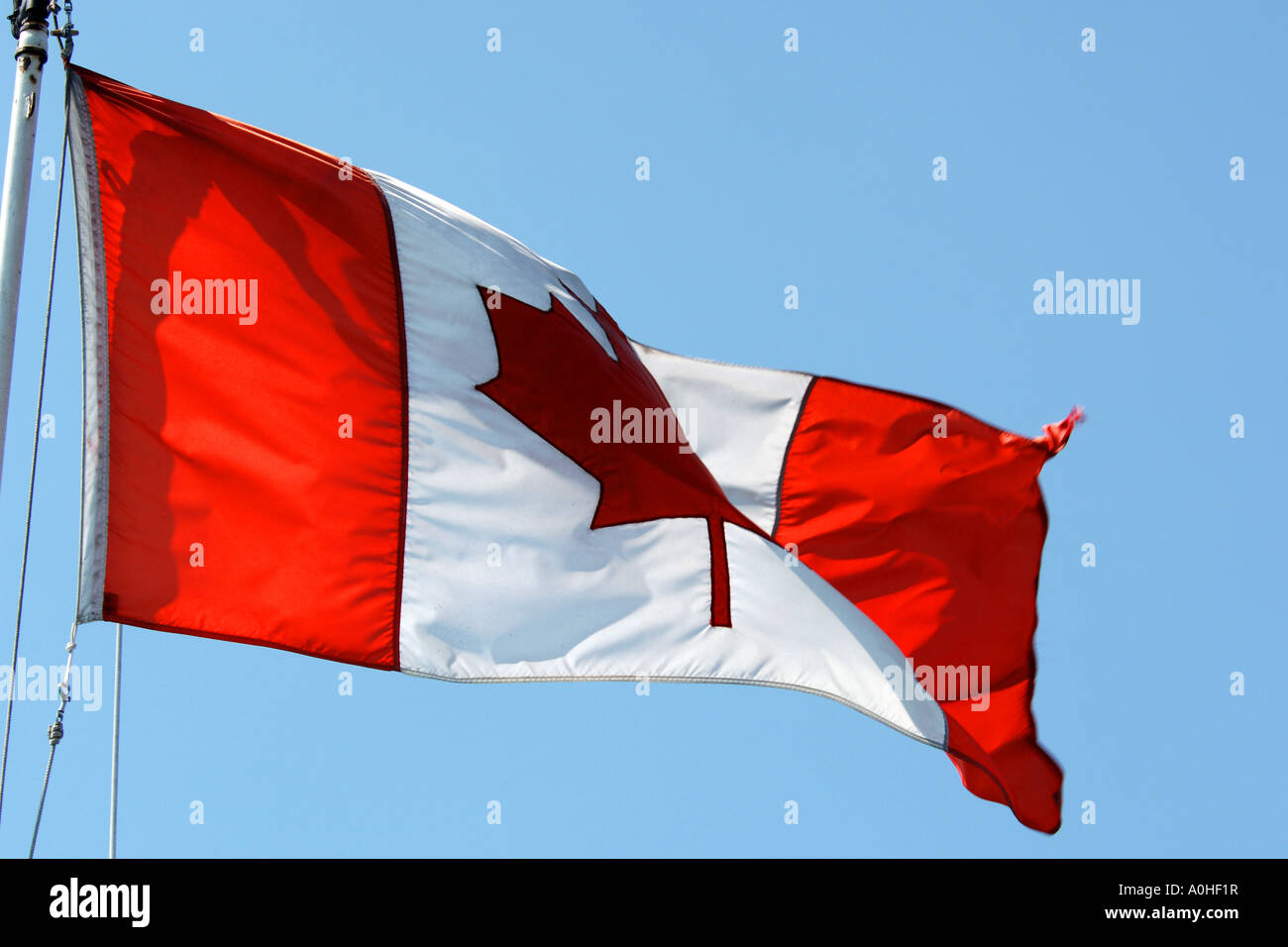 The Canadian Flag Stock Photo - Alamy