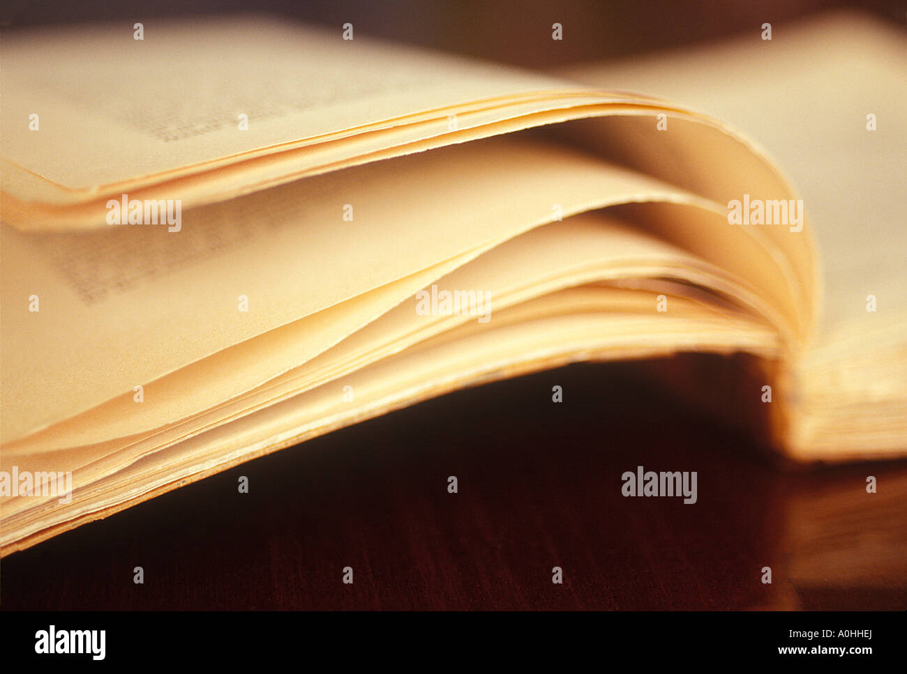 Open book close up. Book on a table low angle view. Pages selective ...